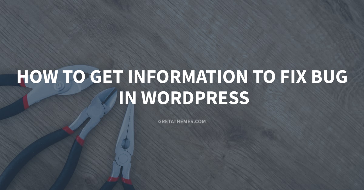 How to Get Information to Fix Bug in WordPress - WP Content