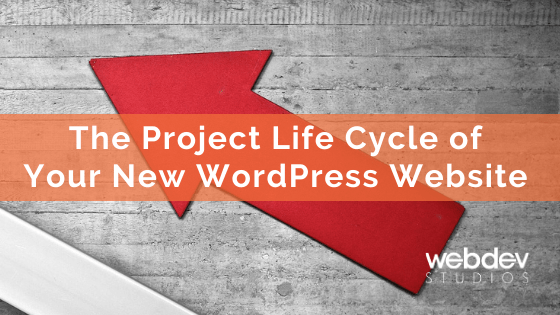 The Project Life Cycle of Your New WordPress Website - WP Content