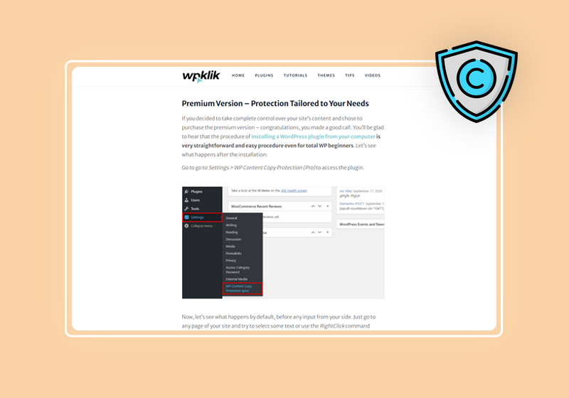 WP Content Copy Protection Plugin : Ultimate Guide - WP Content