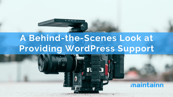 A Behind-the-Scenes Look at Providing WordPress Support - WP Content
