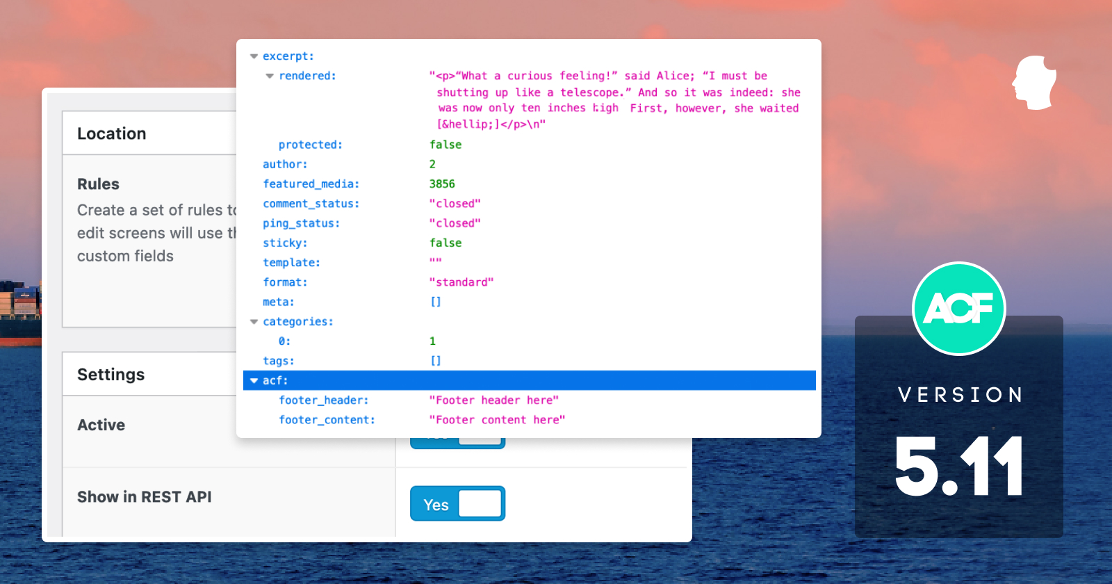 Advanced Custom Fields v5.11 Release – REST API - WP Content