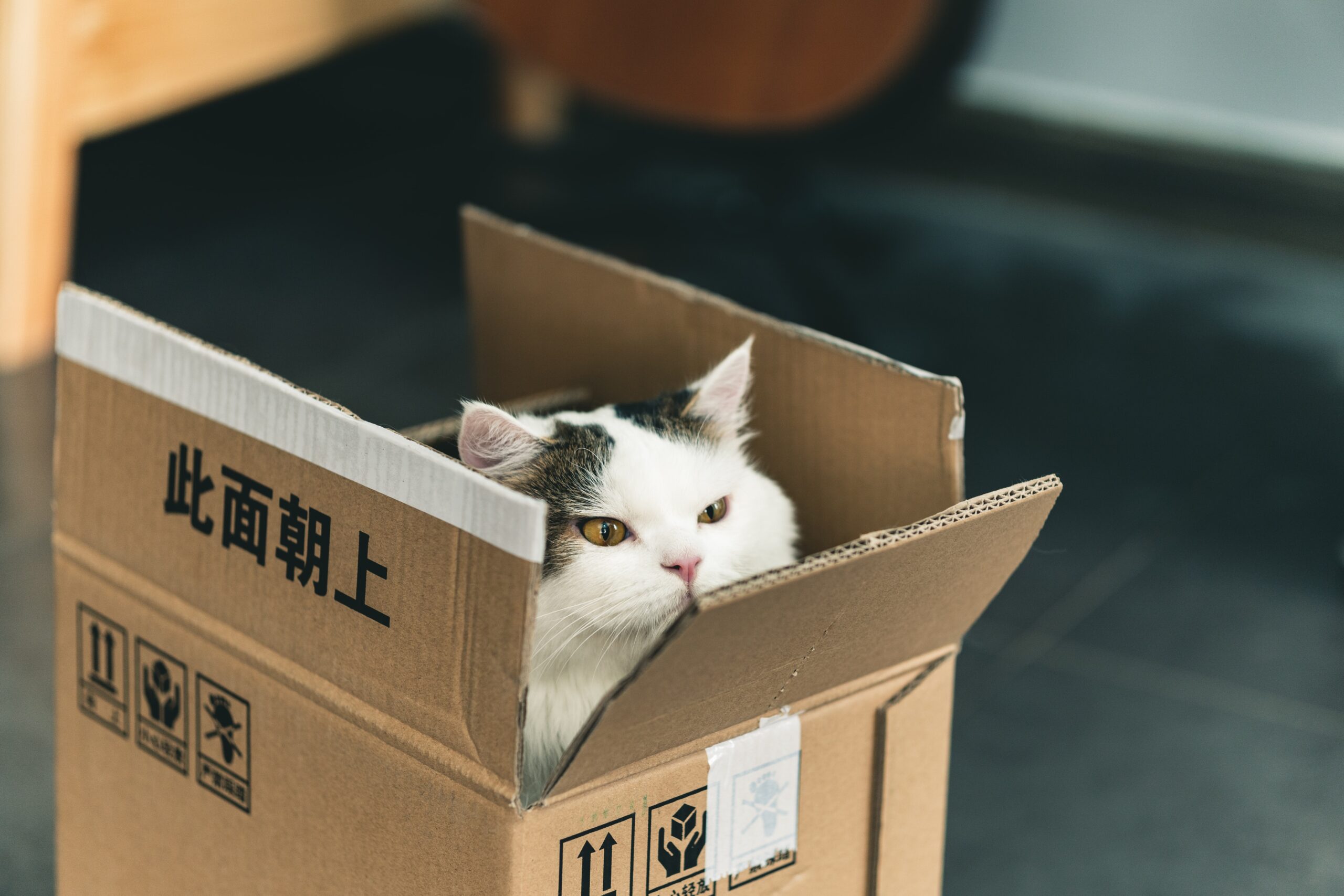 How To Create Woocommerce Custom Shipping Methods Wp Content 4423