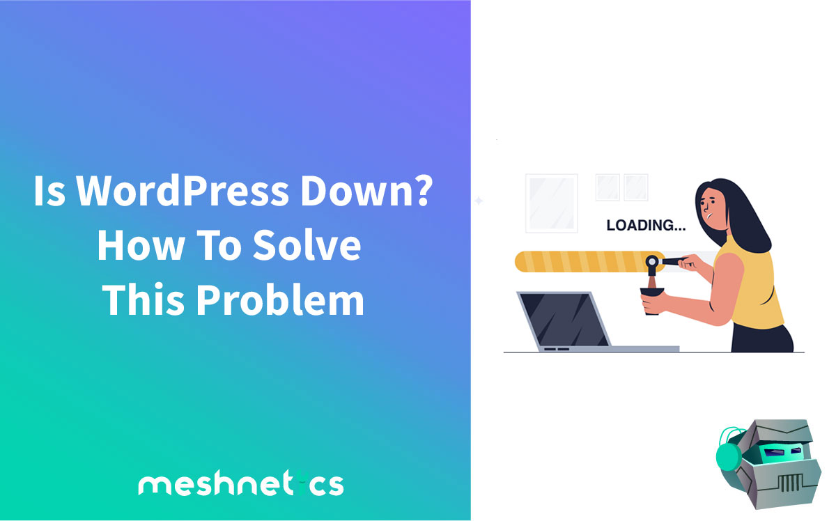Is WordPress Down? How To Solve This Problem - WP Content