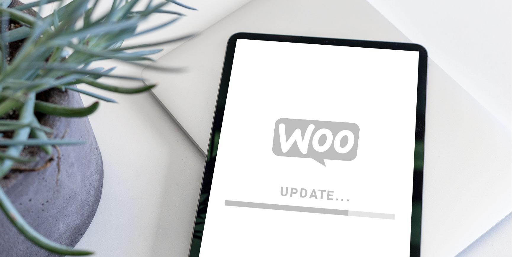 How to Update WooCommerce the Right Way - WP Content