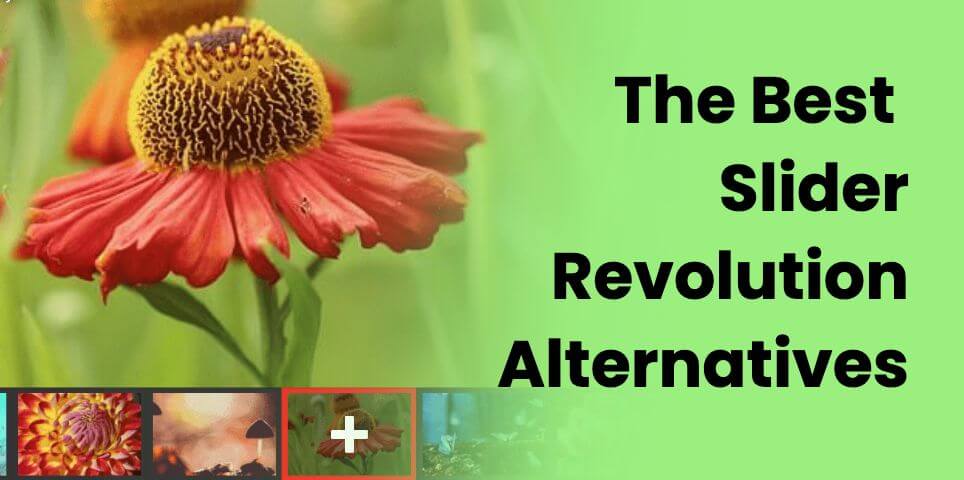 The Five Best Slider Revolution Alternatives In 2023 - WP Content