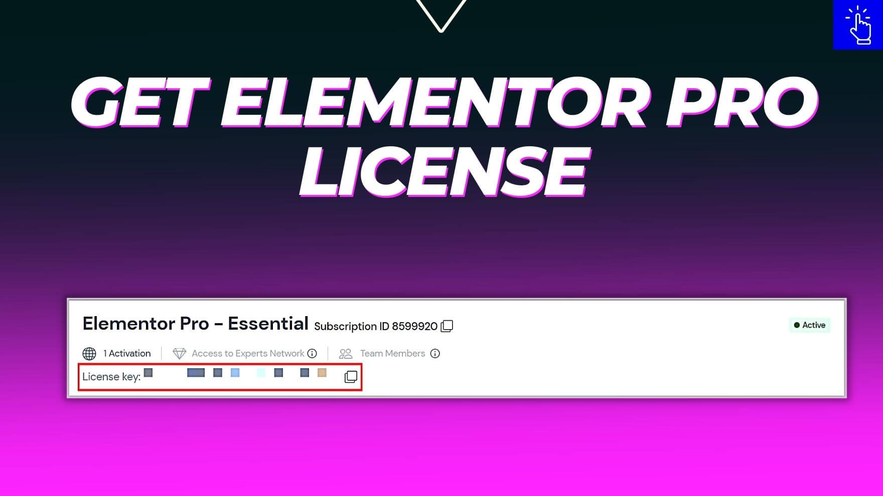 How To Get Elementor Pro License Key WP Content