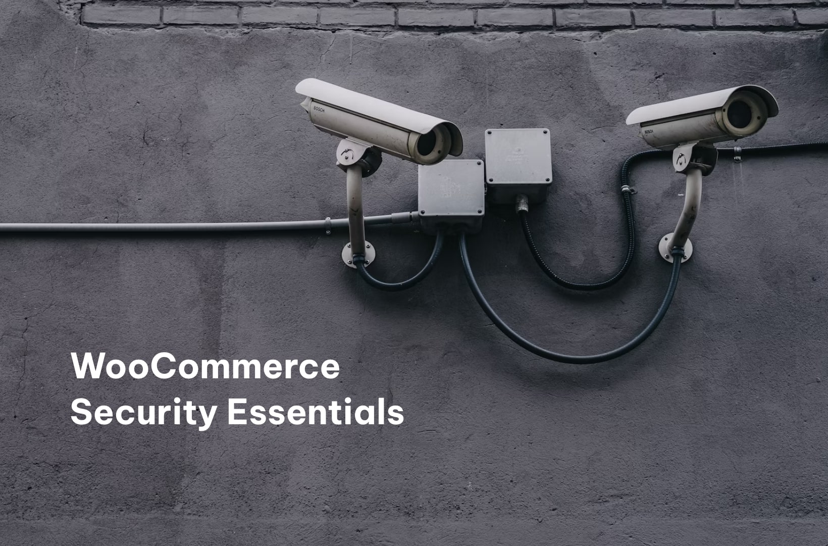 The Ultimate WooCommerce Security Checklist (2023) - WP Content