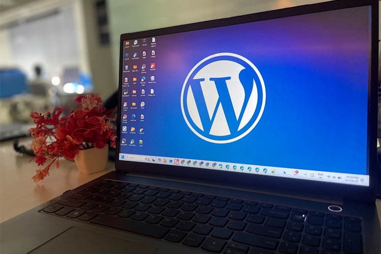 How to Guide Your Clients to the Best WordPress Solutions — Speckyboy - WP Content